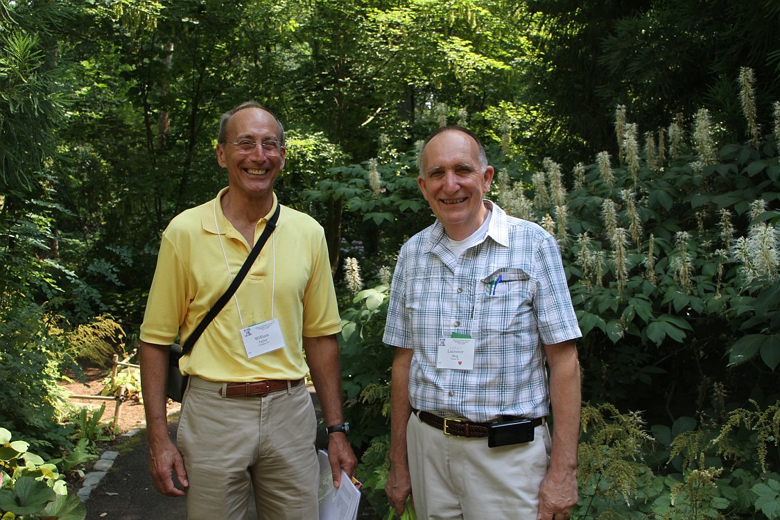 2011 Gesneriad Society Convention